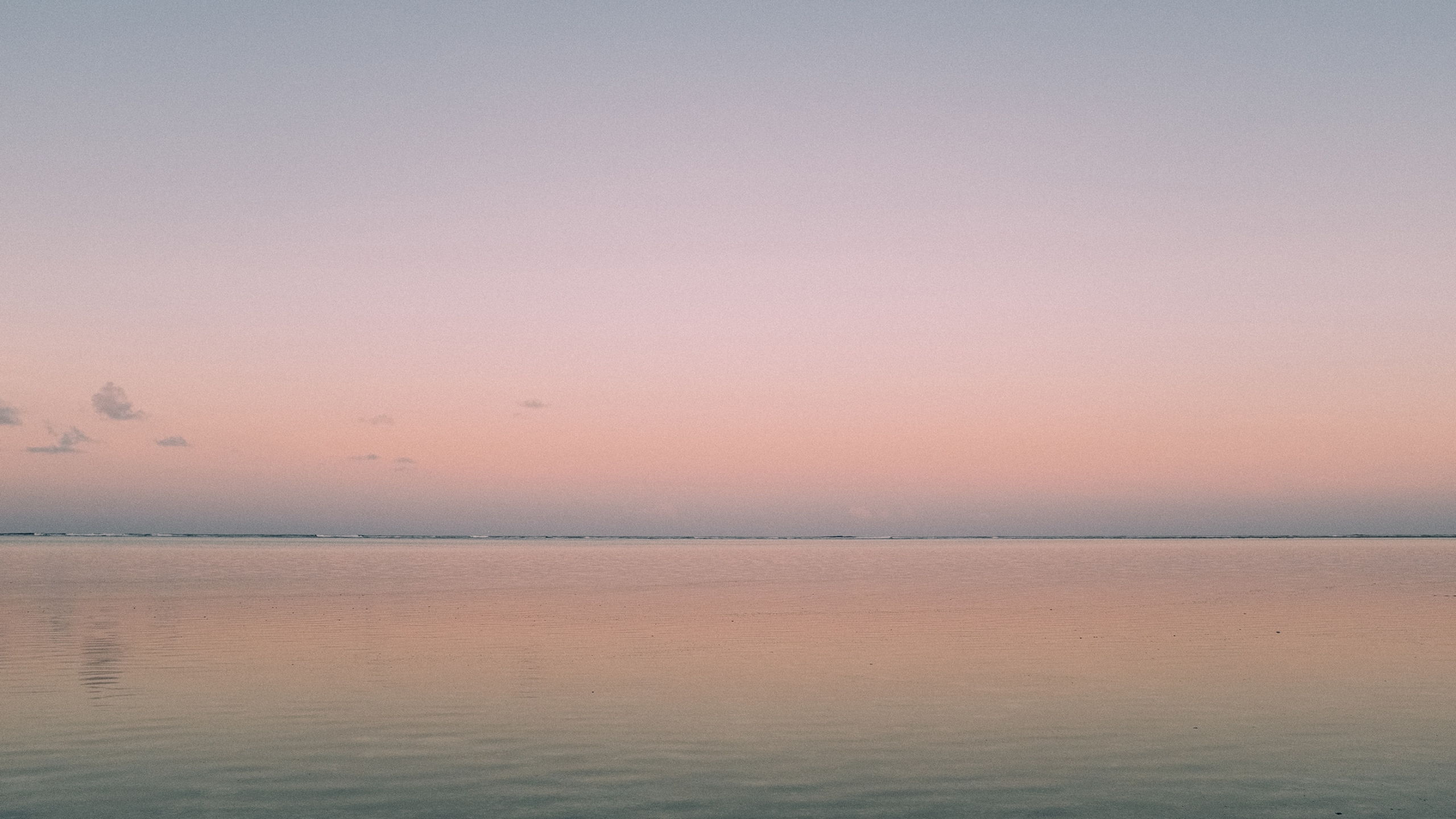 Steve Won | Director & DoP – Portfolio of Director & DoP Steve Won.